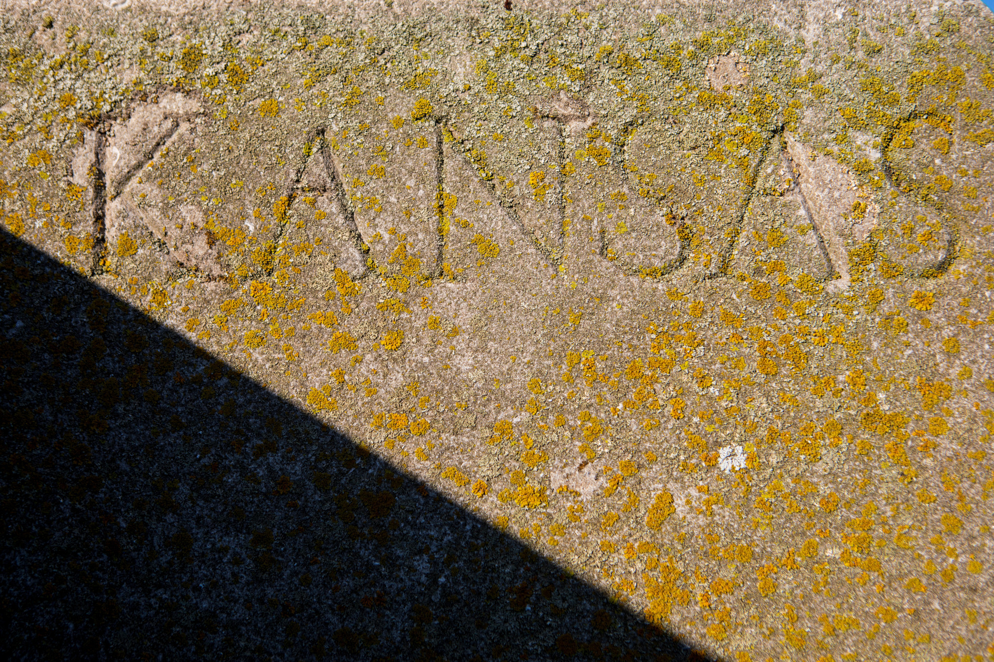 Institute for Policy & Social Research | Institute for Policy & Social Research